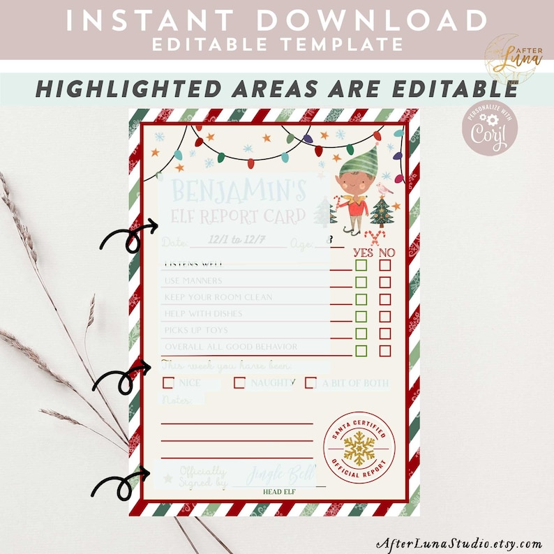 EDITABLE Boy Elf Report Card Printable Green Red Stripes Elf Activity ...