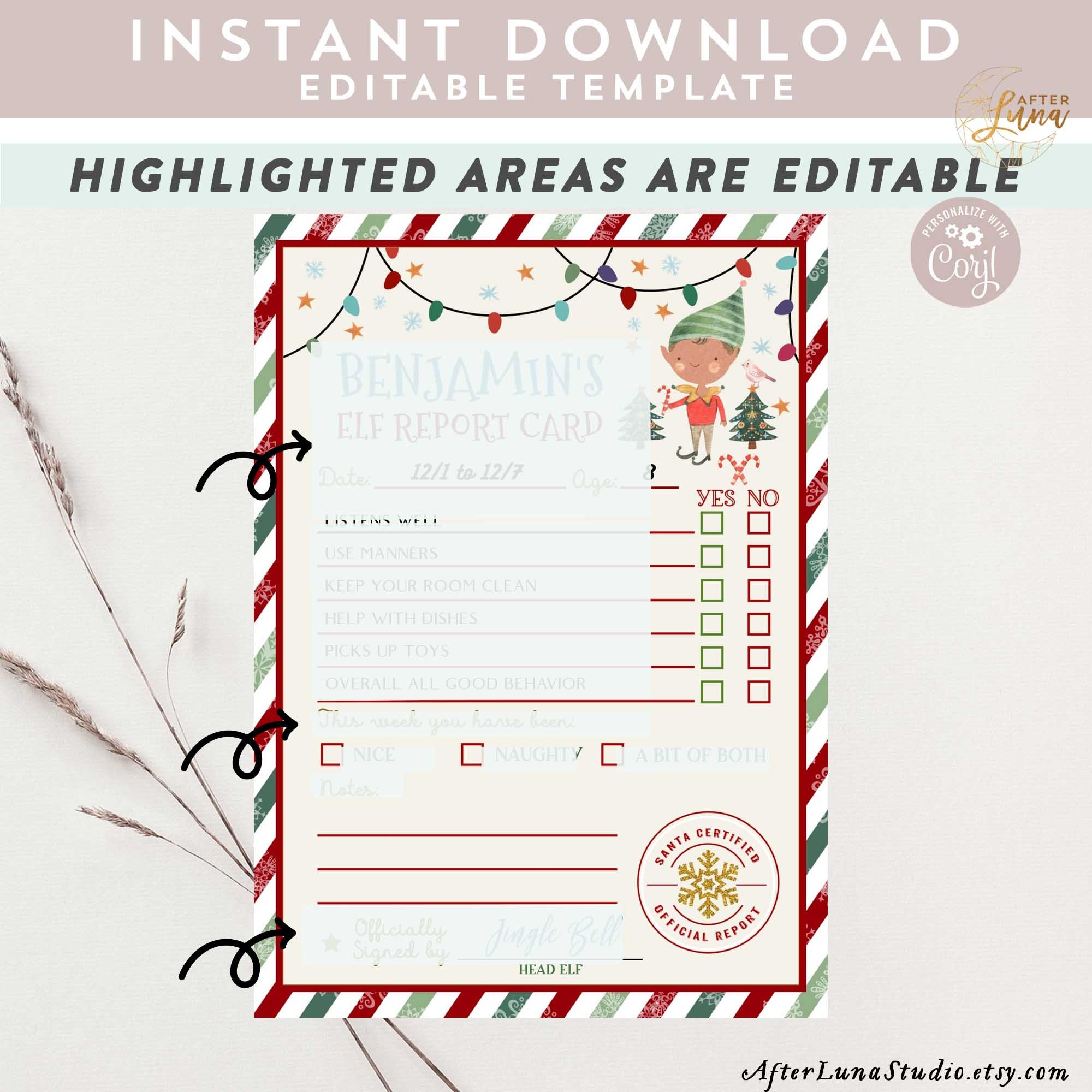 EDITABLE Boy Elf Report Card Printable Green Red Stripes Elf | Etsy Canada