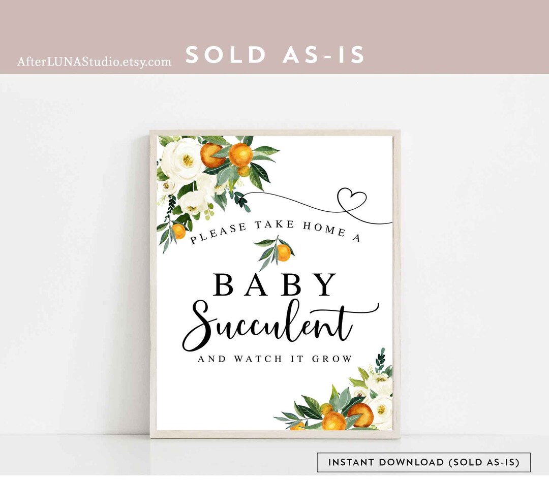 Orange Citrus Baby Succulent Sign A Little Cutie is on the Way Orange ...