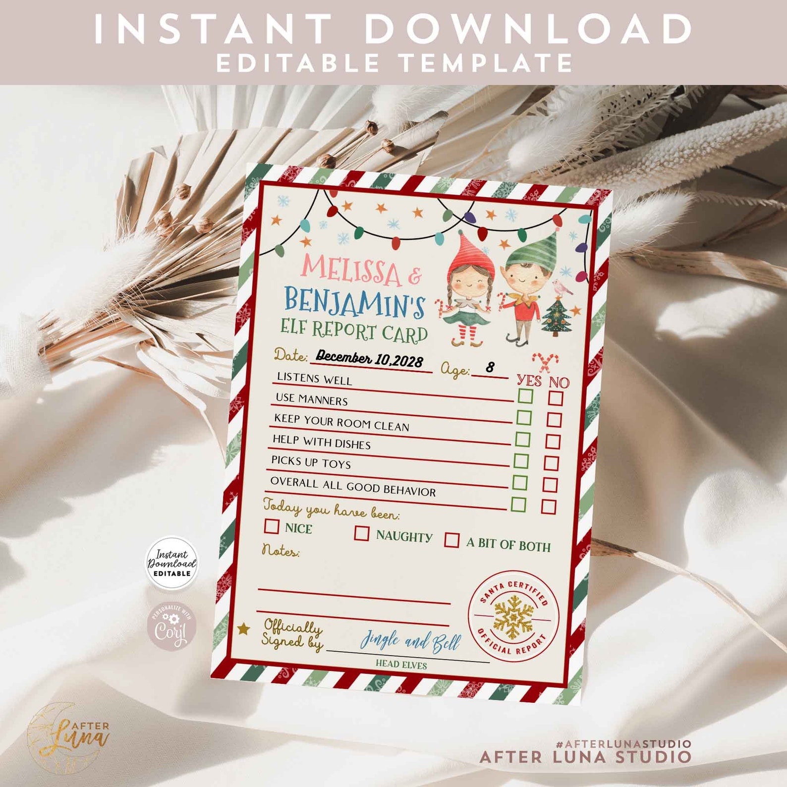 EDITABLE Boy Elf Report Card Printable Green Red Stripes Elf - Etsy Canada