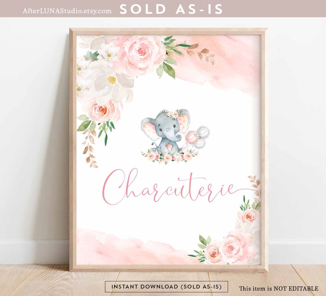 Blush Pink Elephant Charcuterie Sign Little Peanut Girl Elephant Baby ...