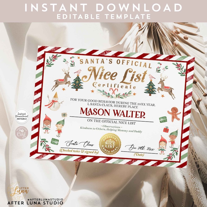 Christmas Nice List Certificate: Santa's Official Document Girl Boy ...