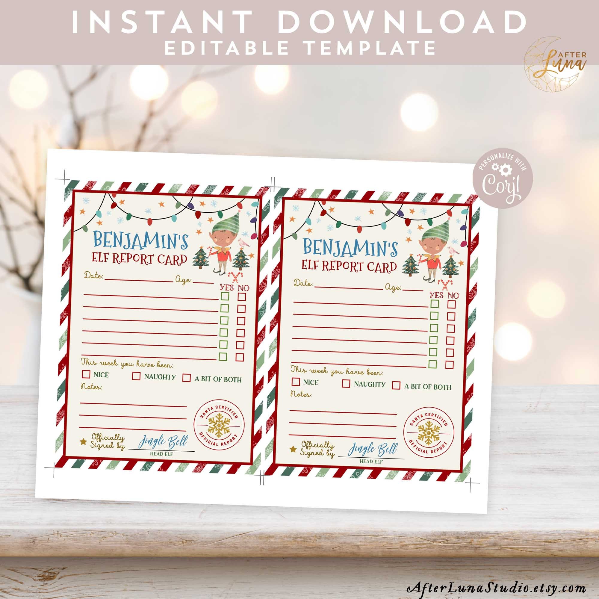 EDITABLE Boy Elf Report Card Printable Green Red Stripes Elf | Etsy Canada