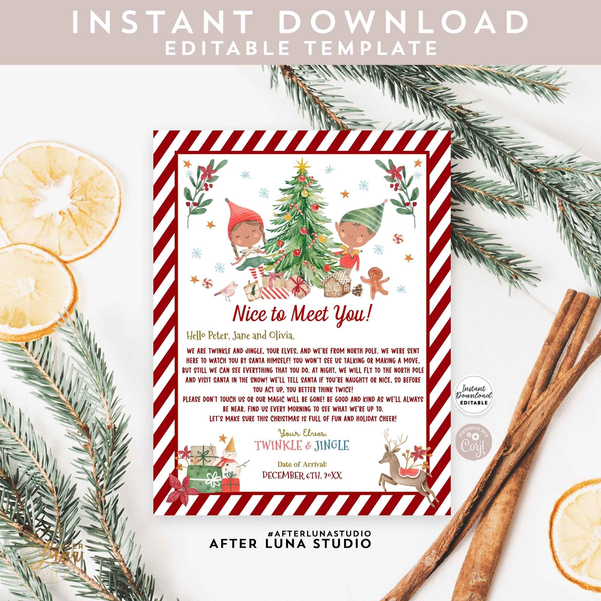 Twin Elves Arrival Letter: Boy & Girl First Introduction Letter ...