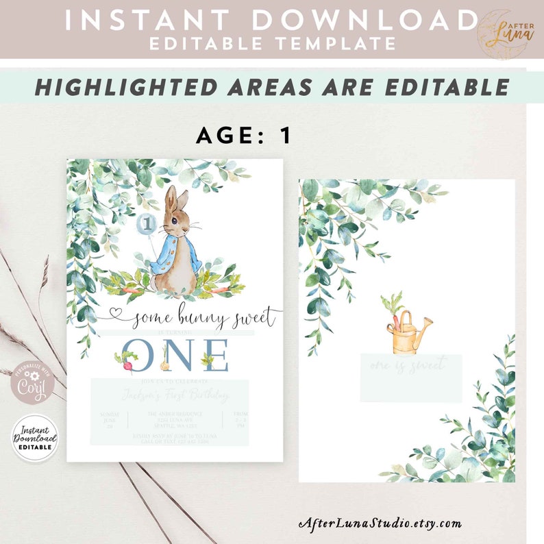 Editable Peter Rabbit Birthday Invitation Boy Bunny Peter - Etsy