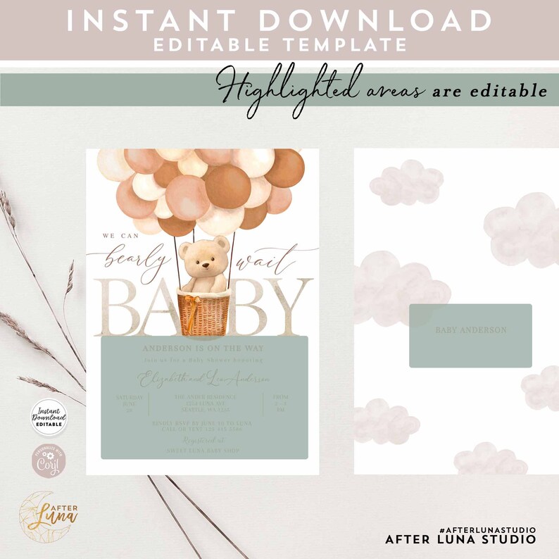 Editable Gender Neutral Teddy Bear Hot Air Balloon Baby Shower - Etsy