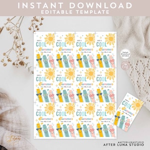 Editable Ice Pop End of School Year Last Day of School Treats Tag ...