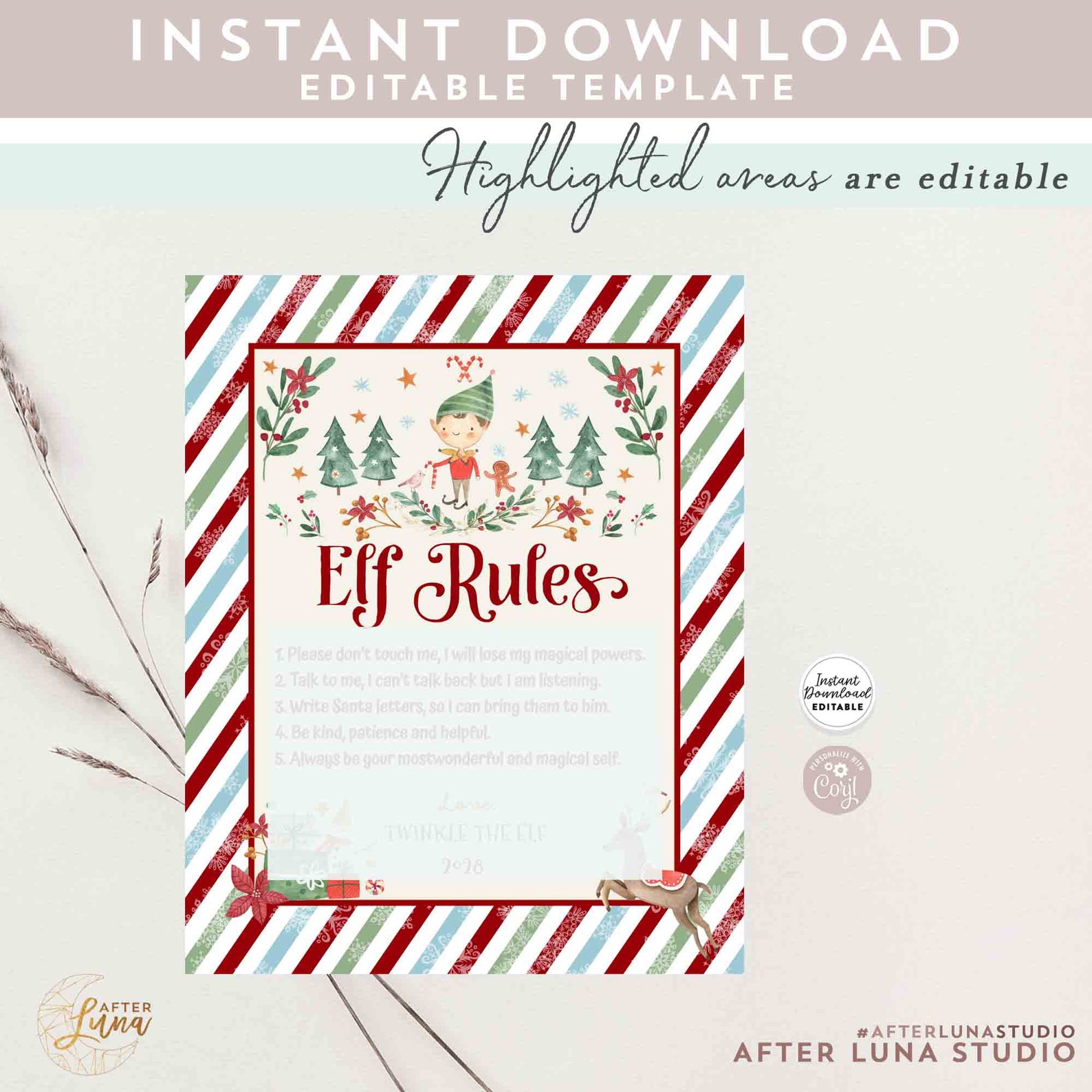EDITABLE Boy Elf Rules Sign 8x10 Editable Printable Elf - Etsy