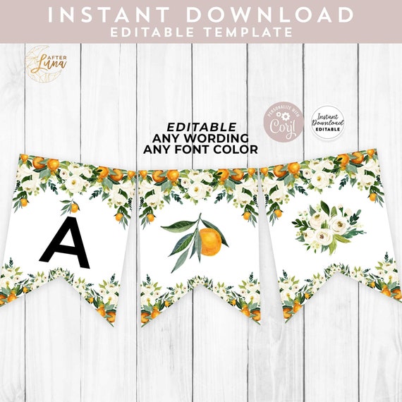 Editable ANY WORDING Orange Citrus Pennant Banner 8.5x11 Baby | Etsy