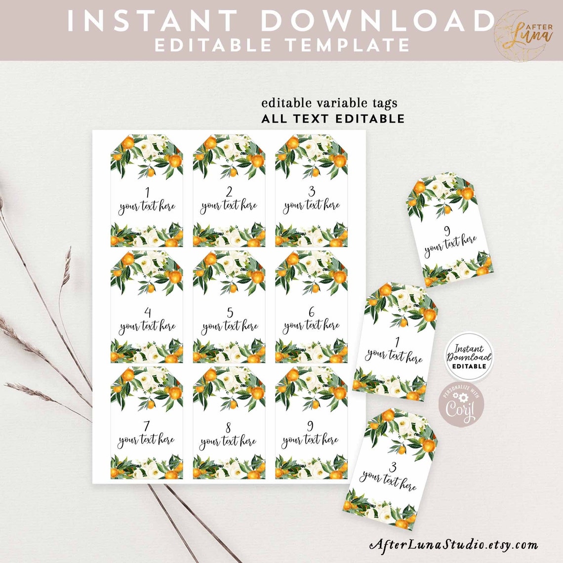 Editable Orange Citrus Variable Tags 3.5x2.25 A Little - Etsy