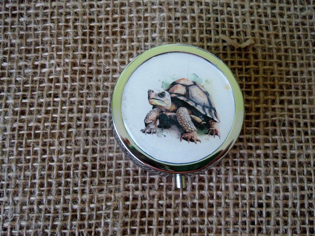 Tortoise Themed Three Compartment Pill Box (choose Your Image) - Etsy