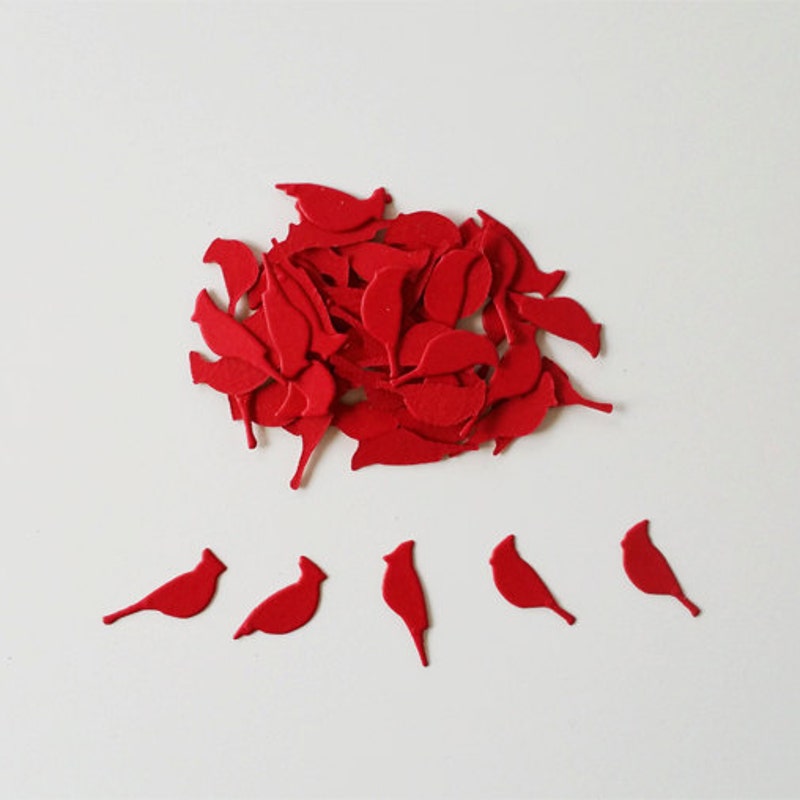 Bird Confetti - Etsy