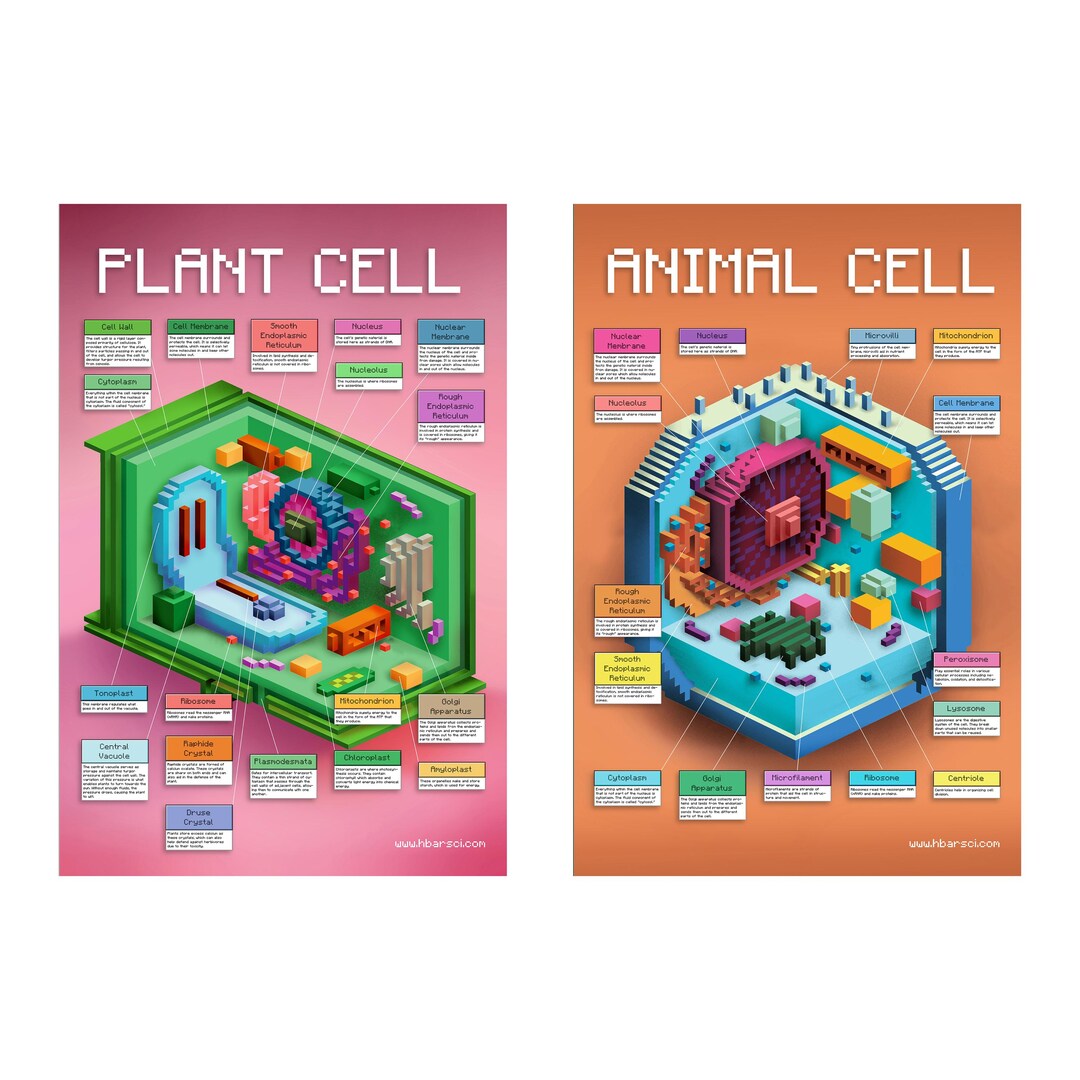 Cellcraft Animal & Plant Cell Poster Set – Video Game-inspired Science ...