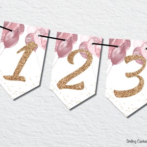 Pink Glitter Balloon Letter Banner Alphabet, Girl Birthday Banner Set ...