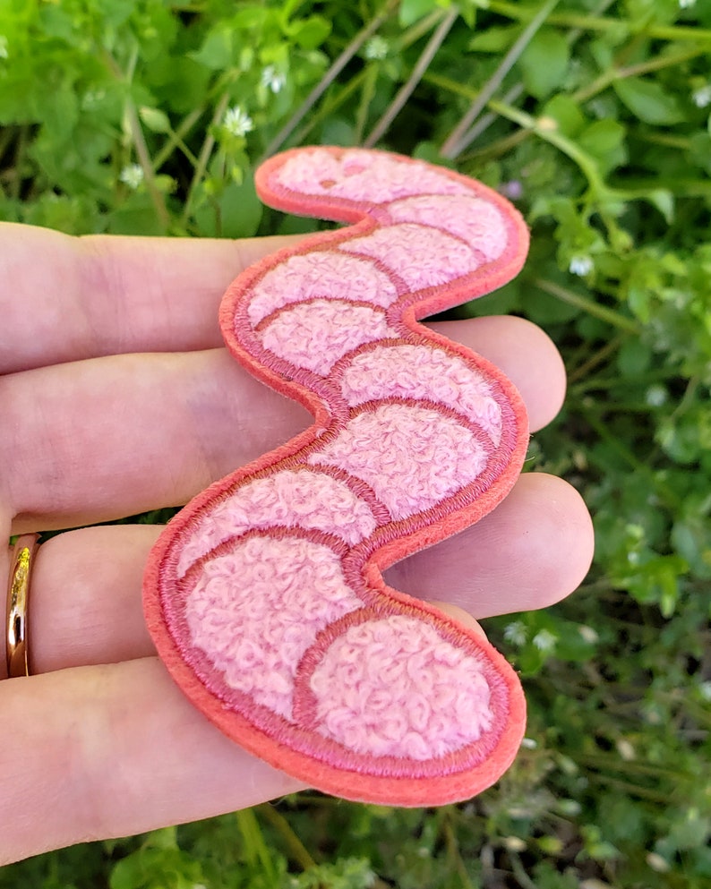 Worm Friend Chenille Iron on Patch - Etsy