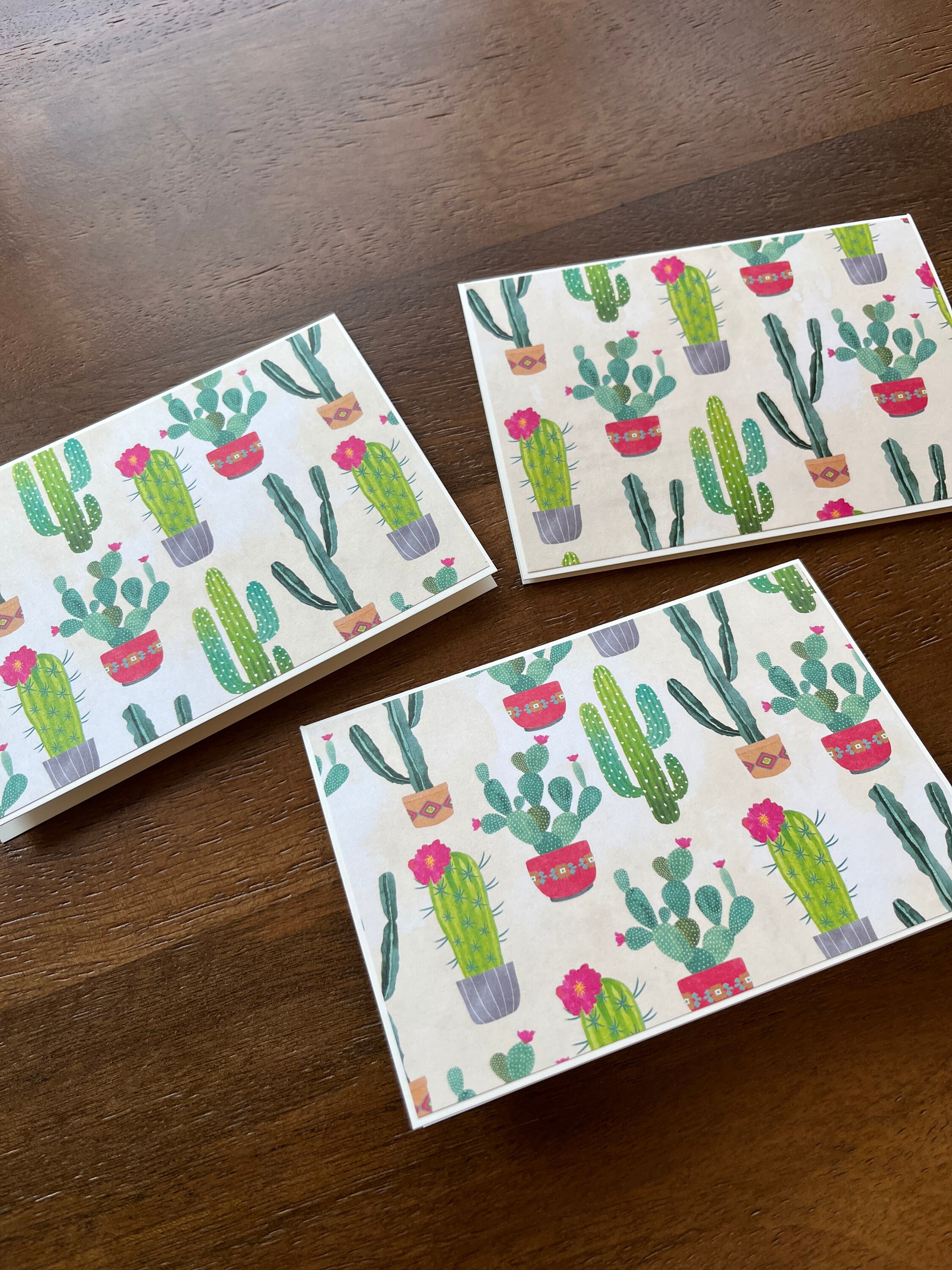 Cactus Plant Note Cards With Envelopes Succulent Note Cards House Plant ...