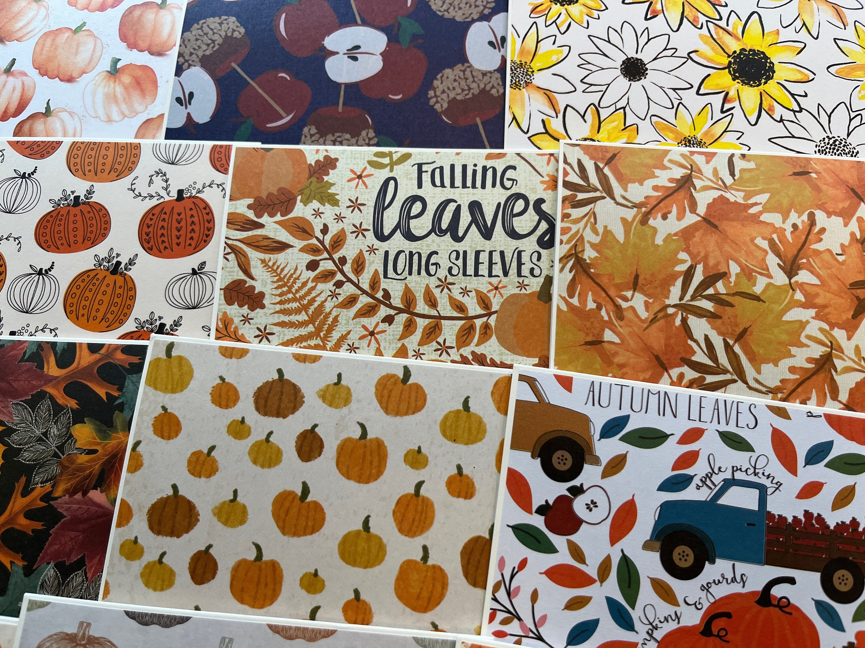 Assorted Fall Note Cards With Envelopes - Thanksgiving Note Cards ...