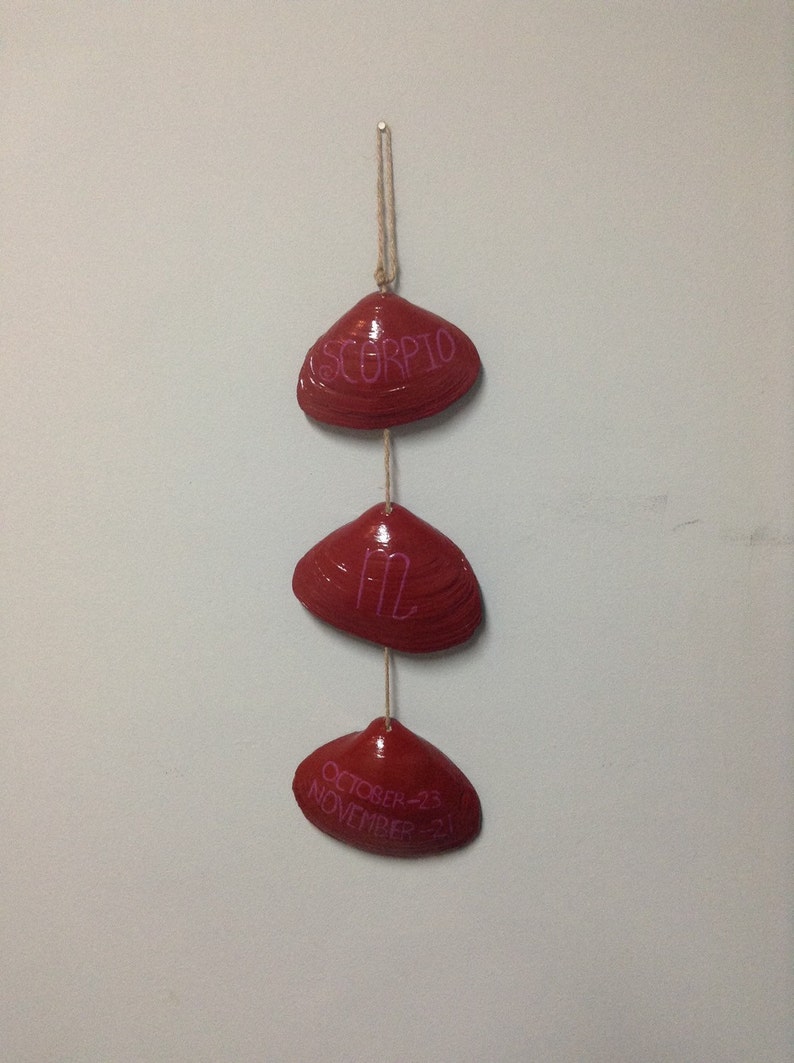 Hand painted Scorpio seashell wall hanging. Scorpio art. | Etsy