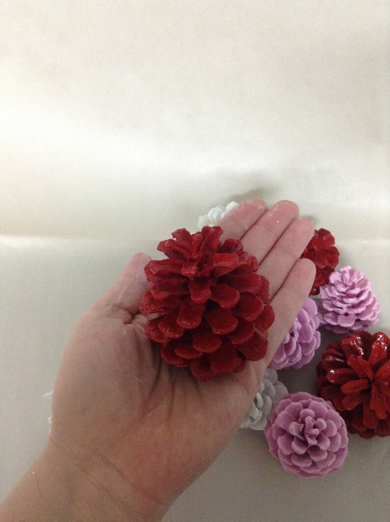 Hand painted Valentine pinecone decor. Valentine's Day | Etsy
