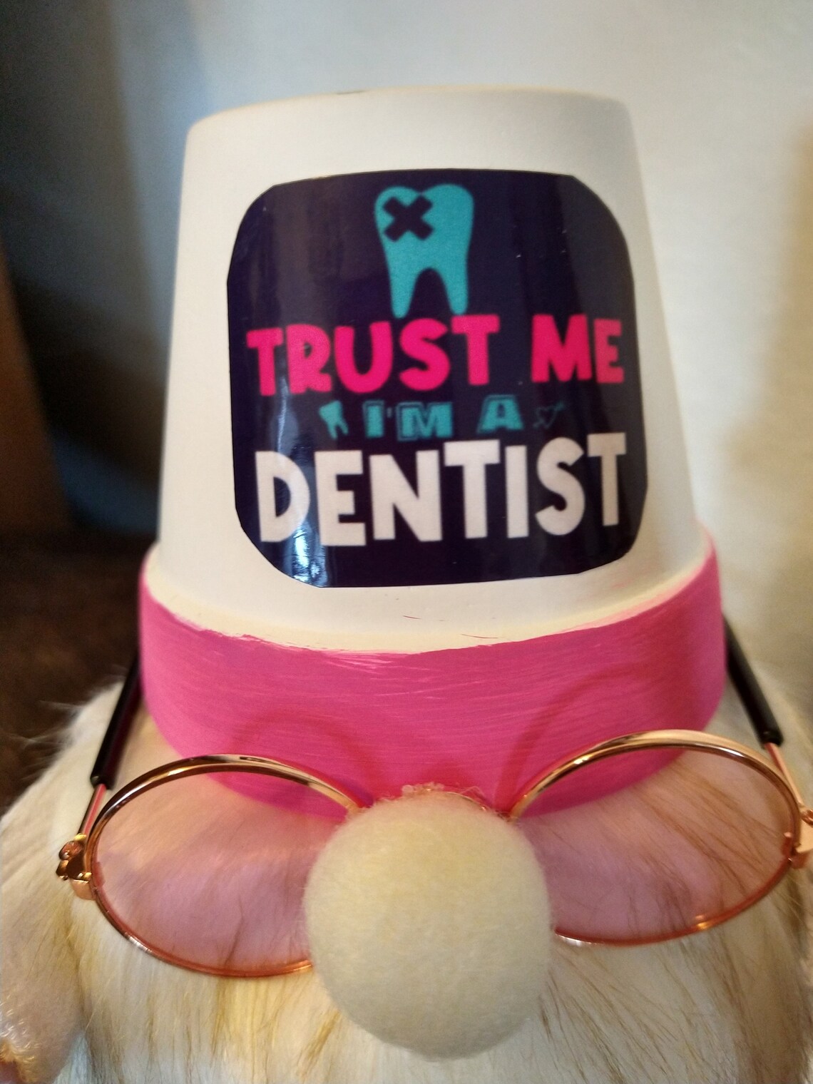 Dentist Gnome - Etsy