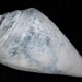 Blue & White Fossil / Fossilized Left Handed Cone Conidae Sea - Etsy