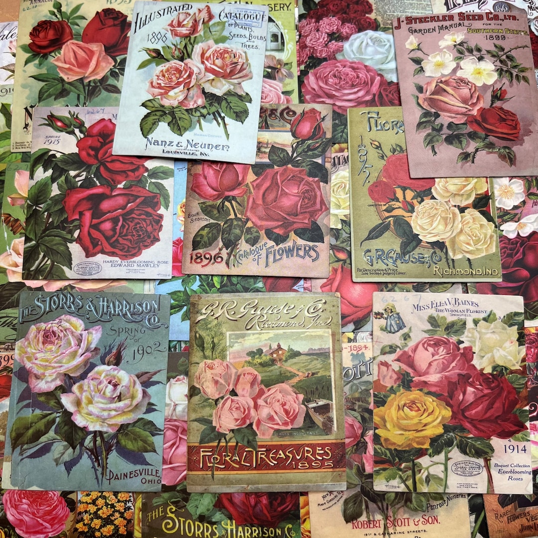 Vintage Flowers Laptop Stickers - Etsy