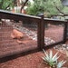 Farm Fence W/ Wire Mesh - Etsy
