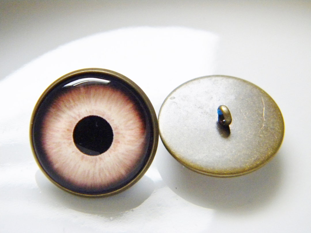 Glass Eyes, Sew on Eyes, Brown Eyes, Bird Eyes, Button Eyes, Loop Back ...