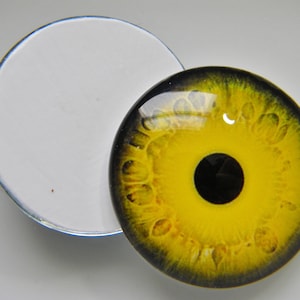 Glass Eyes, Monster Eyes, Yellow Monster Eyes, Zombie Eyes, Yellow ...