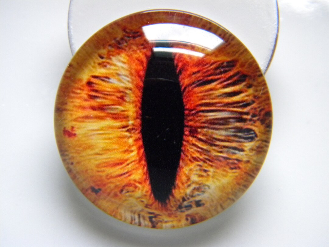 Glass Eyes, Fox Eyes, Golden Eyes, Cat Eyes, Animal Eyes, Realistic ...