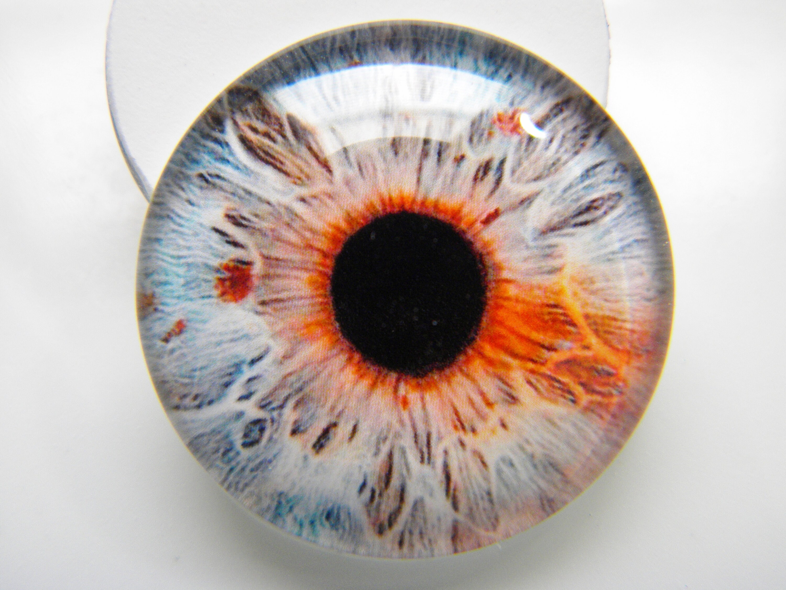 Glasaugen graue Augen graue Puppenaugen graue Iris | Etsy