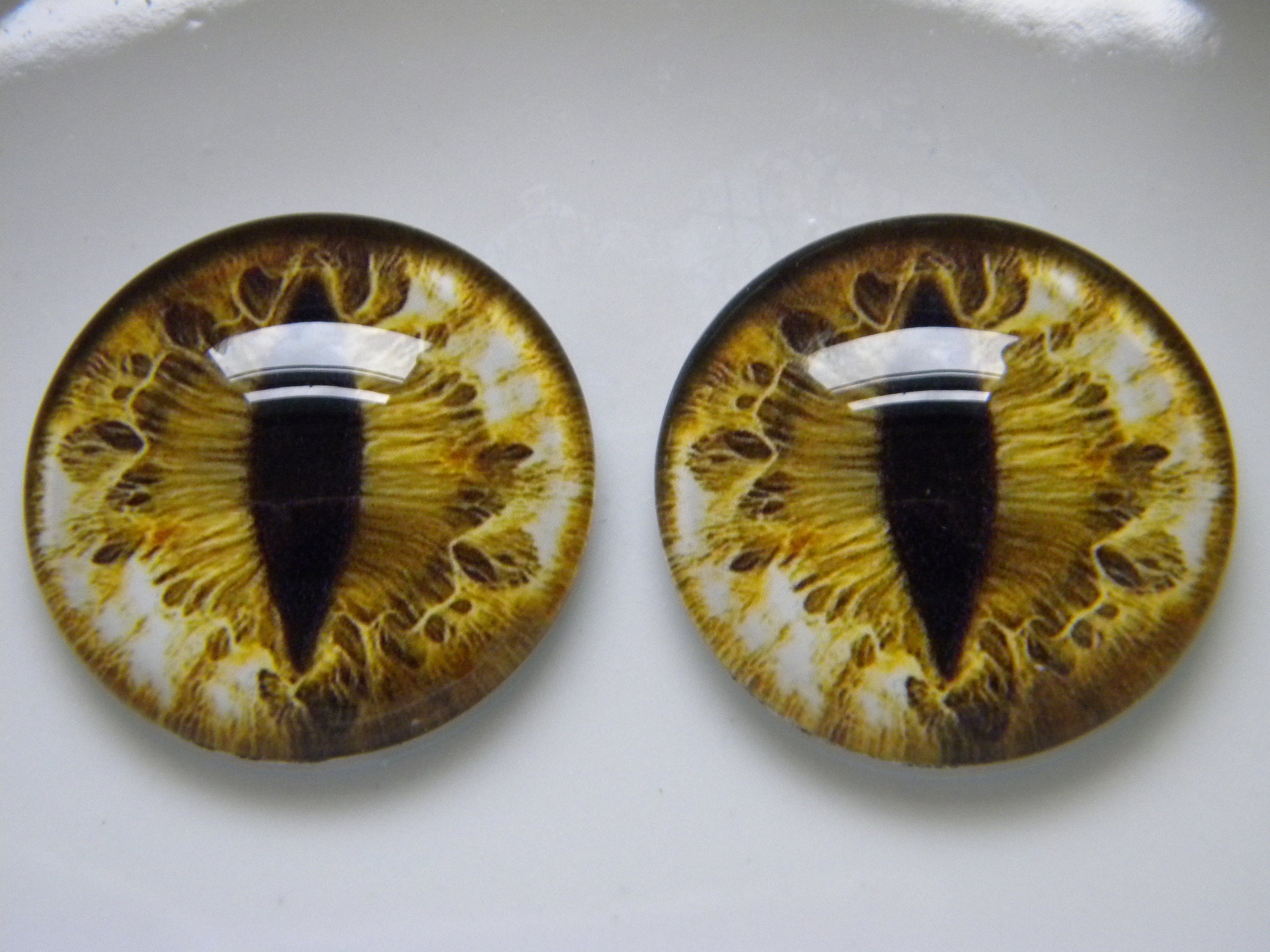 Glass Eyes Golden Eyes Cat Eyes Gold Eyes Animal Eyes - Etsy