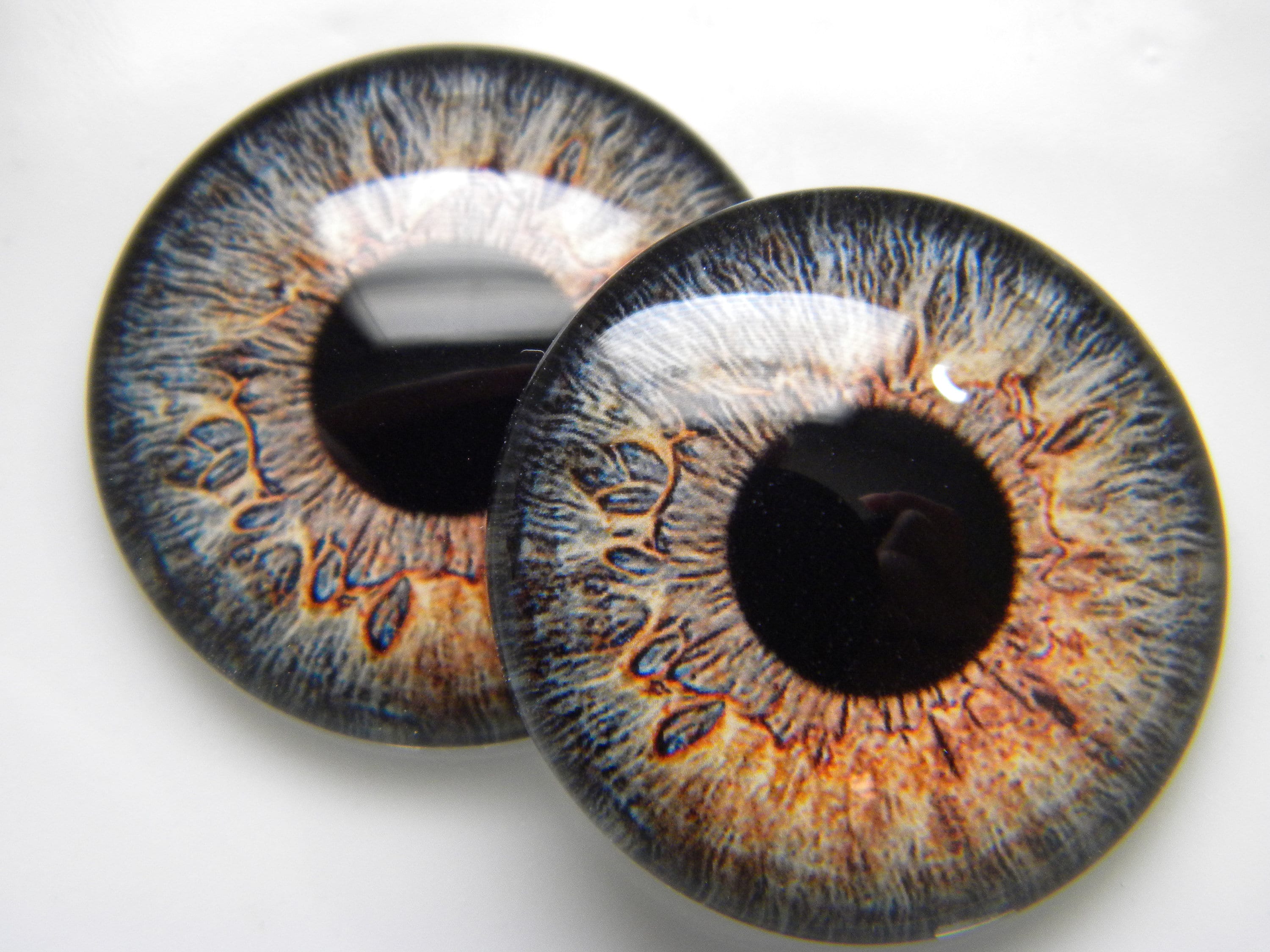 Red Iris Eye Romanian