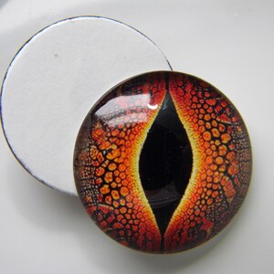 Glass Eyes, Red Eyes, Dragon Eyes, Creature Eyes, Red Frog Eyes ...