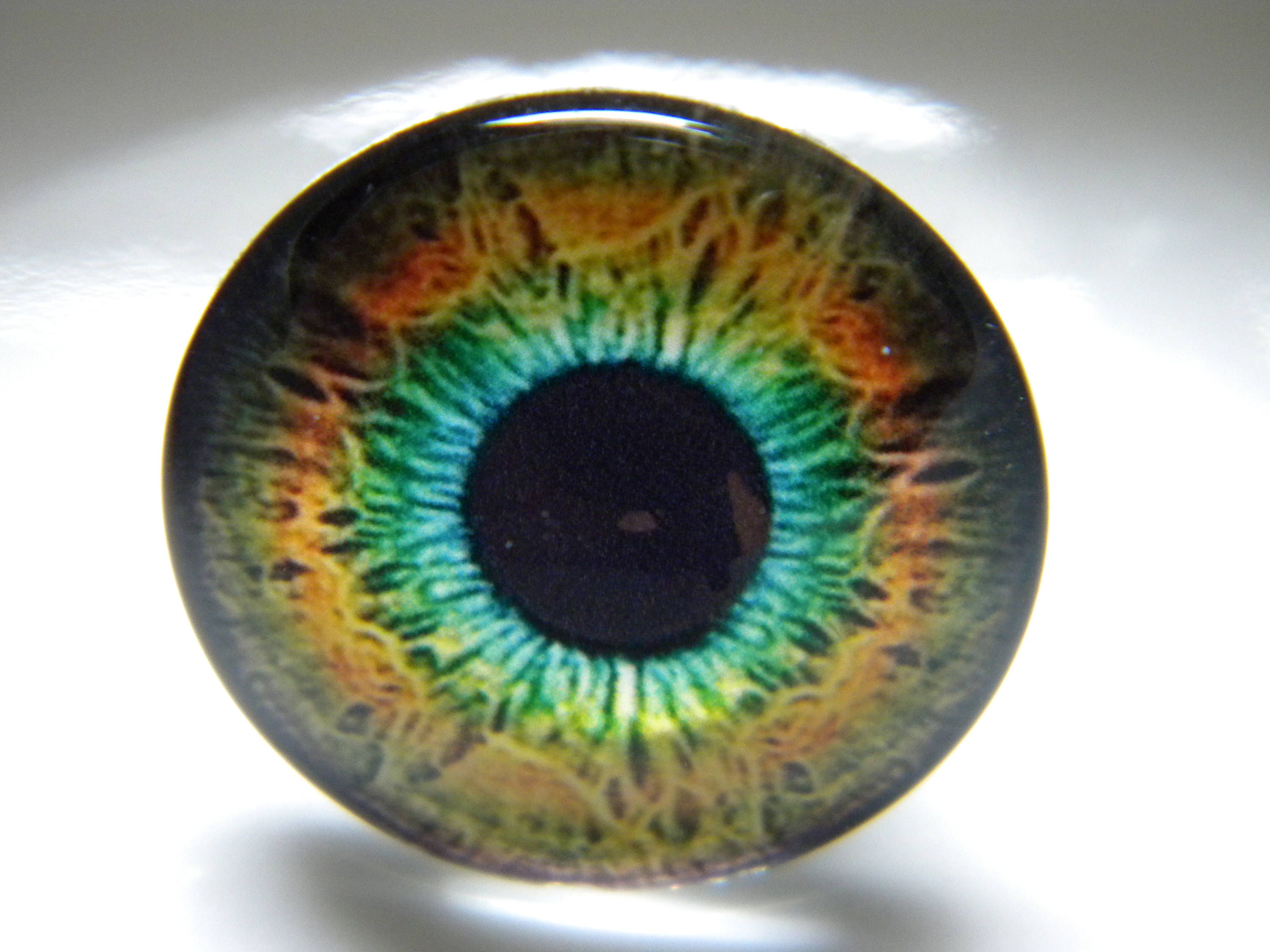 Glass Eyes Golden Eyes Doll Eyes Gold Doll Eyes Clown - Etsy