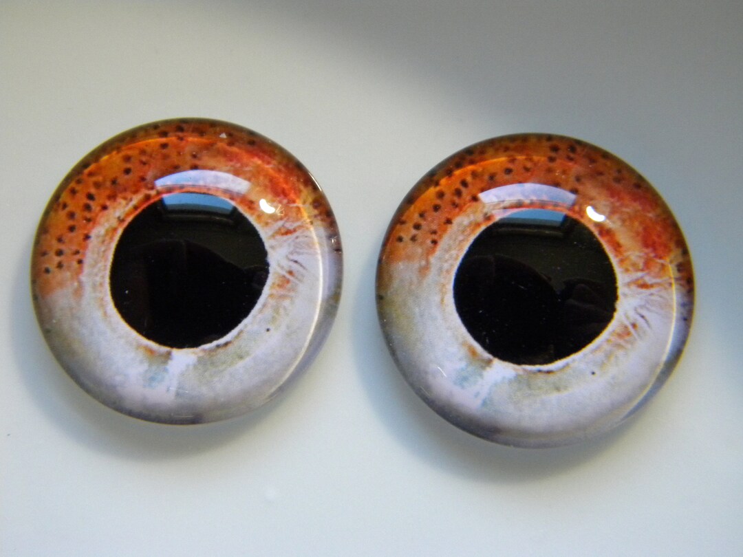 Glass Eyes, Fish Eyes, Fishing Lure Eyes, Reptile Eyes, Trout Eyes ...
