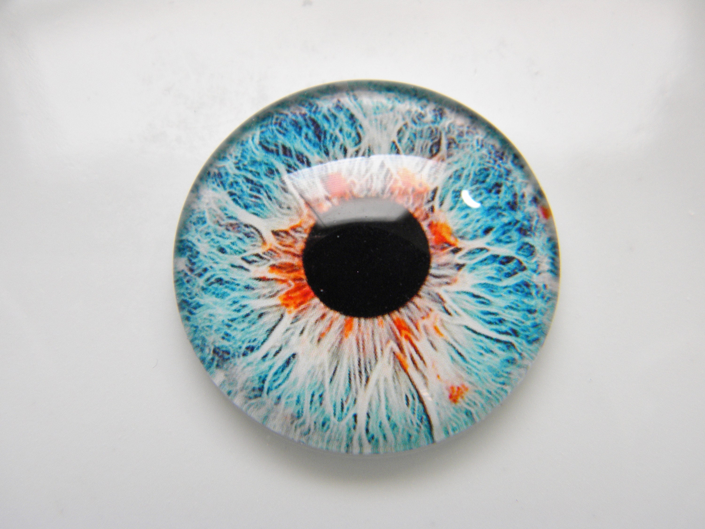 Glass Eyes, Blue Eyes, Blue Doll Eyes, Blue Iris, Colorful Eyes, Animal ...
