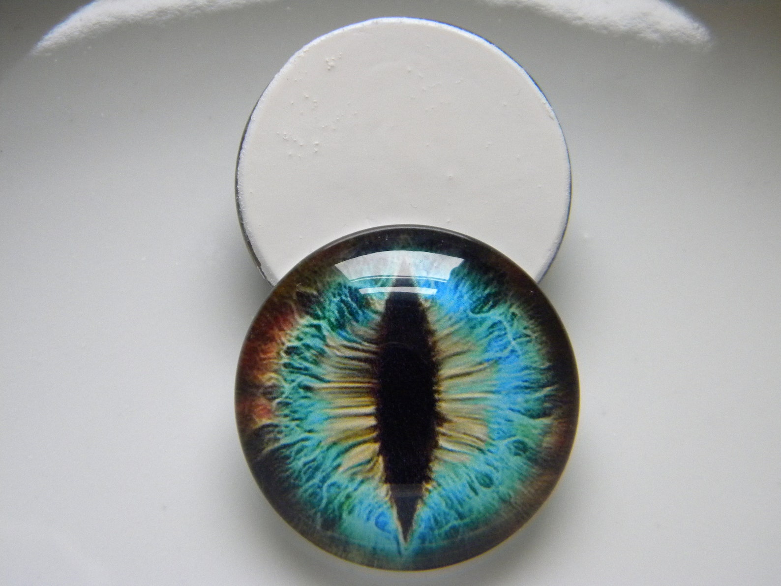 Glass Eyes, Blue Eyes, Cat Eyes, Blue Cat Eyes, Animal Eyes, Creature ...