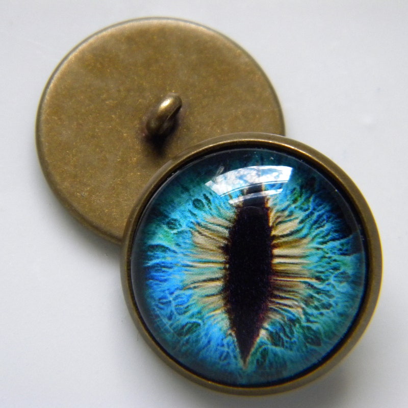 Button Eyes - Etsy