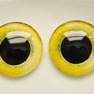 Glass Eyes, Owl Eyes, Large Pupil Owl Eyes, Yellow Eyes, Yellow Owl ...