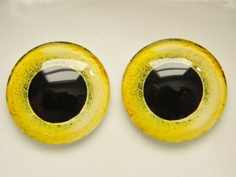 Glass Eyes, Owl Eyes, Large Pupil Owl Eyes, Yellow Eyes, Yellow Owl ...