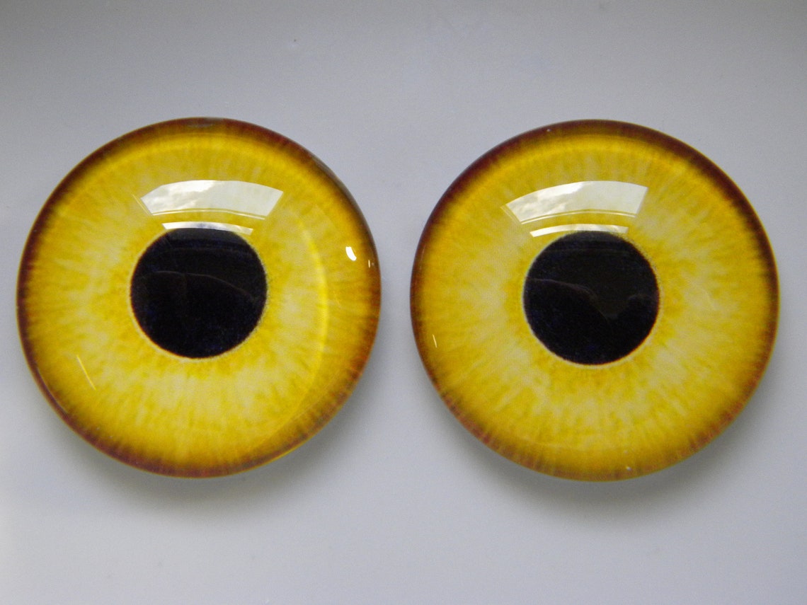 Glass Eyes, Owl Eyes, Bird Eyes, Yellow Eyes, Yellow Owl Eyes, Falcon ...