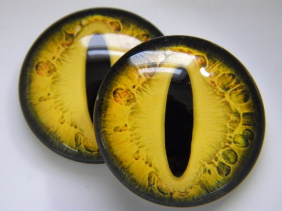 Yellow Dragon Eye