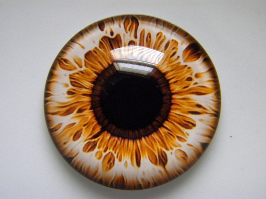 Glass Eyes Glass Doll Eyes Doll Eyes Brown Gold Colored Eyes Fantasy Eyes Sculpture Eyes