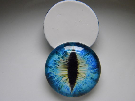 Realistic Blue Eyeball
