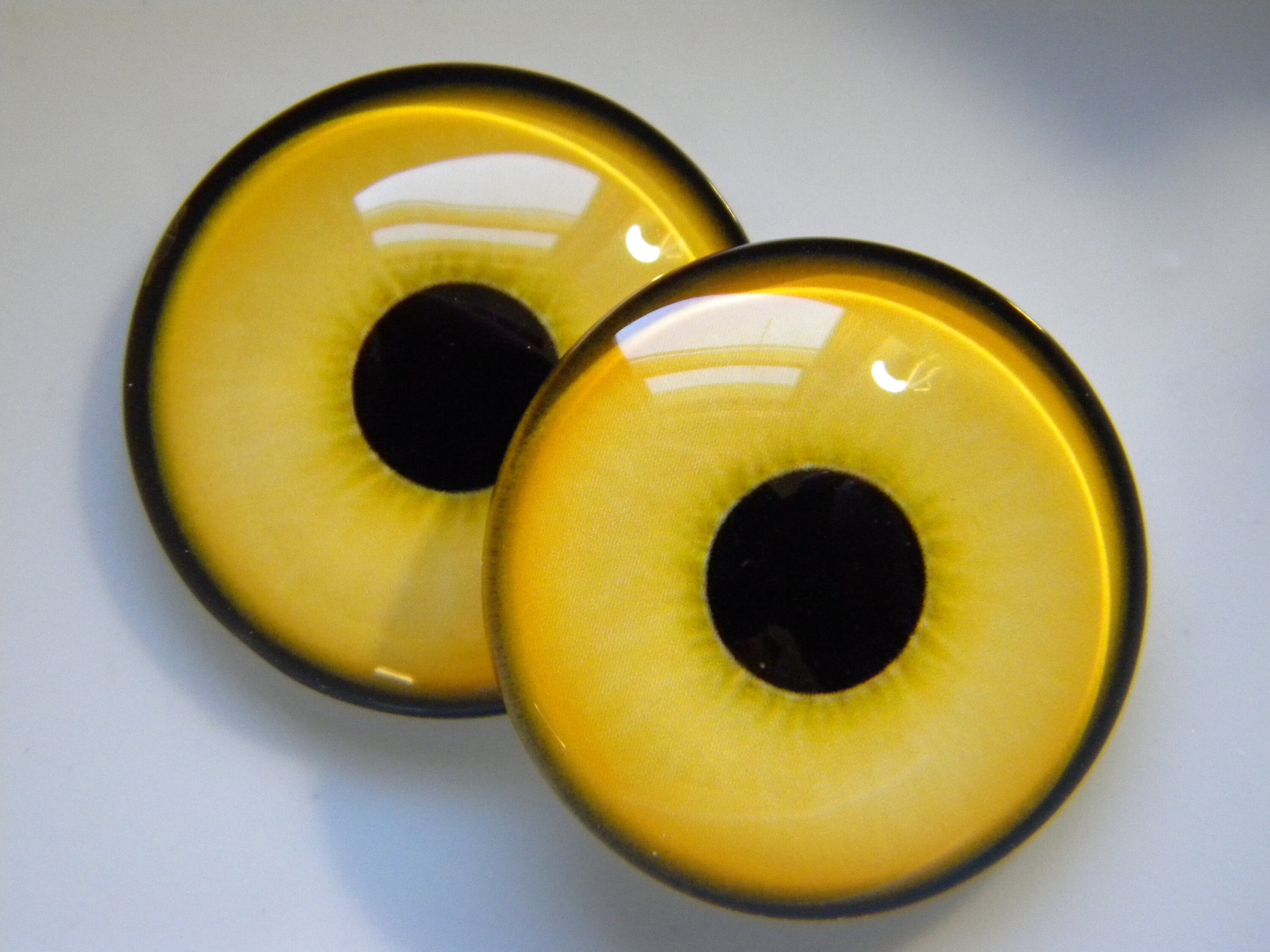 Glass Eyes Owl Eyes Bird Eyes Yellow Eyes Yellow Owl Eyes - Etsy