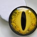 Glass Eyes, Yellow Eyes, Yellow Dragon Eyes, Yellow Cat Eyes, Dragon ...