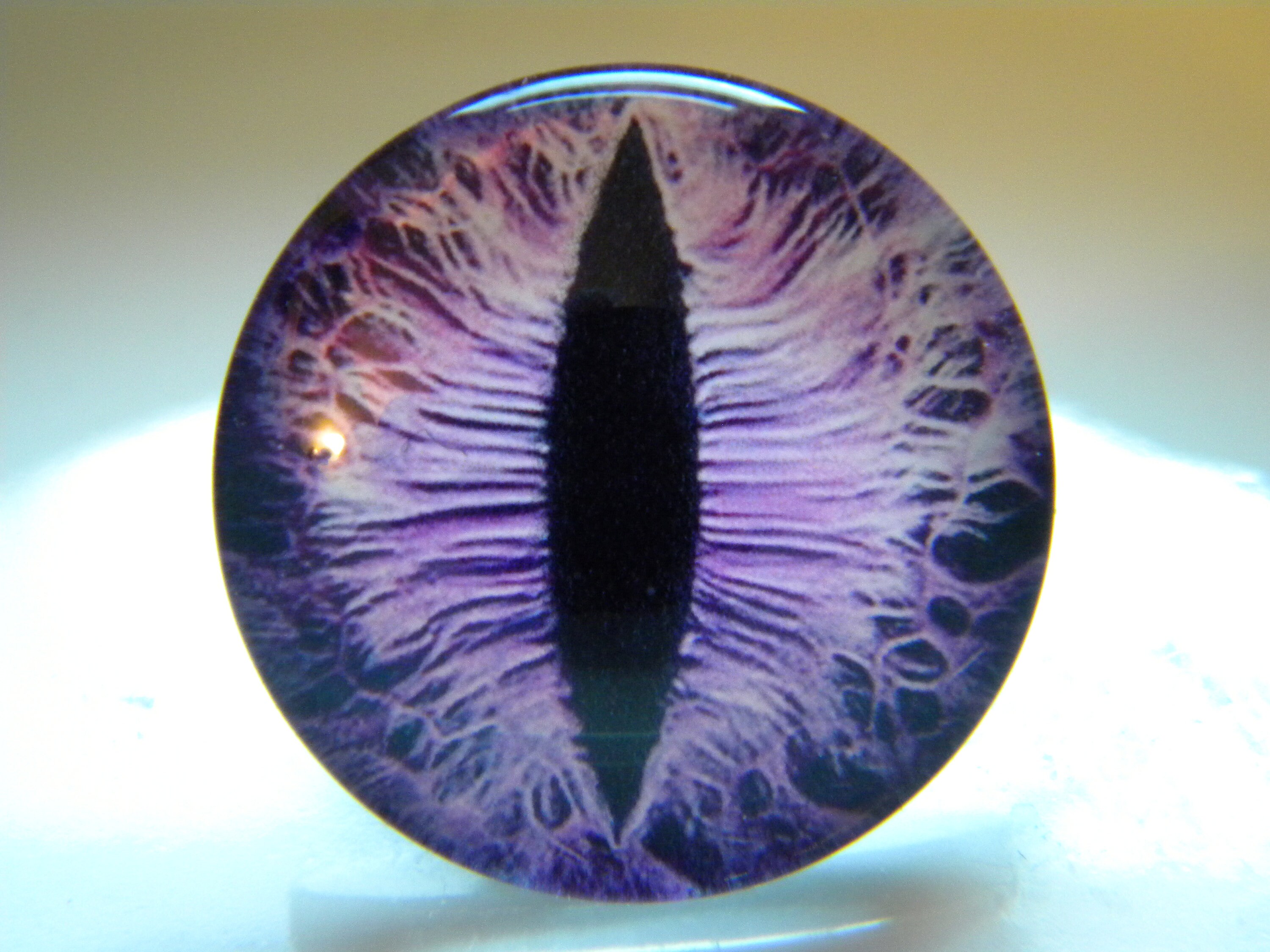 Glass Eyes, Purple Eyes, Animal Eyes, Cat Eyes, Stuffed Animal Eyes ...