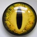 Glass Eyes, Yellow Eyes, Yellow Dragon Eyes, Yellow Cat Eyes, Dragon ...