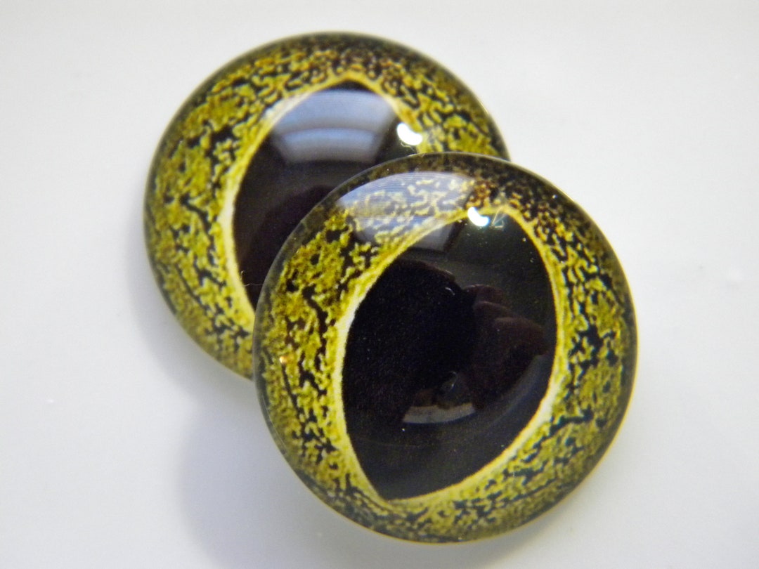 Glass Eyes, Frog Eyes, Fish Eyes, Reptile Eyes, Fishing Lure Eyes ...